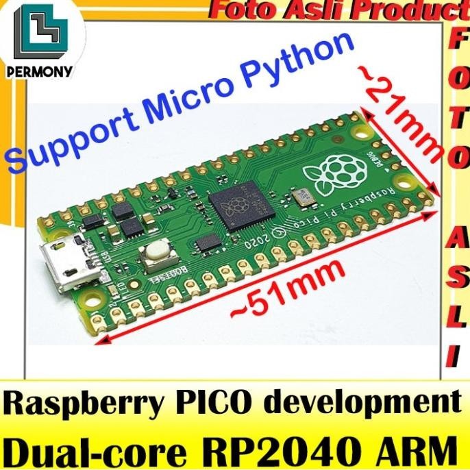 Jual Raspberry Pico RP2040 arm cortex m0 | Shopee Indonesia