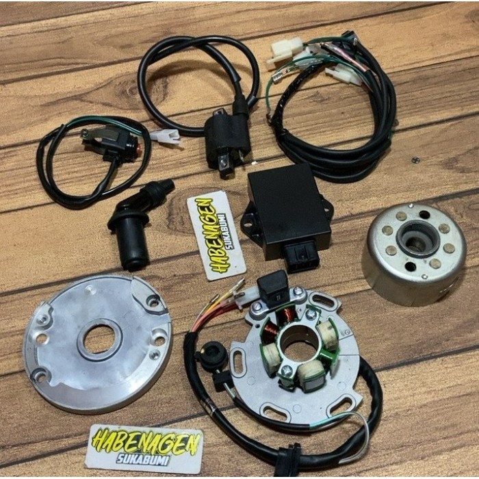 Jual Pengapian Magnet Magnit Yamaha Yz 125 Assy Full Set Pnp F1Zr Fizr | Shopee Indonesia