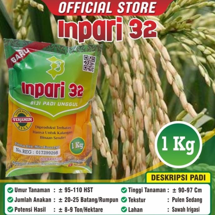 Jual FORSALE BENIH PADI INPARI 32 PREMIUM | Shopee Indonesia