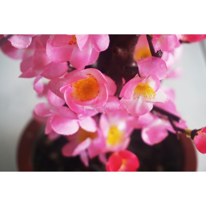 Jual Pohon Hias Plastik Angpao Imlek Meihua Bunga Sakura Pink Mini Pot ...