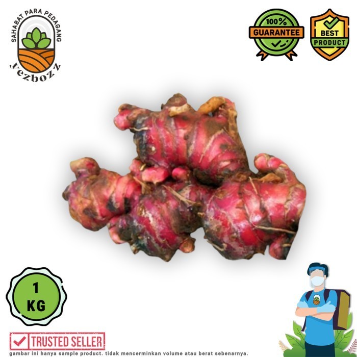 Jual Jahe Merah Per 1000 Gram (1Kg) | Shopee Indonesia