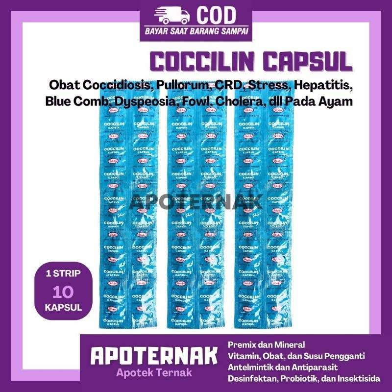 Jual COCCILIN CAPSUL ISI 10 KAPSUL WONDER - Obat Ayam Ngorok CRD Pilek ...