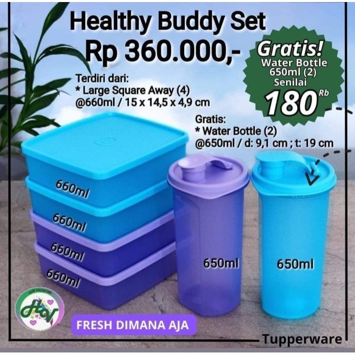 Jual TUPPERWARE Healthy Buddy Set Kotak Makanan dan Botol [A08 ...