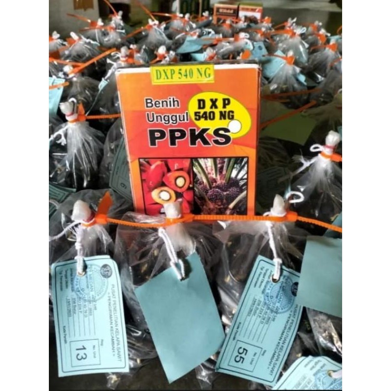Jual Bibit sawit unggul jaya PPKS 540 (ISI 150 BUTIR) | Shopee Indonesia
