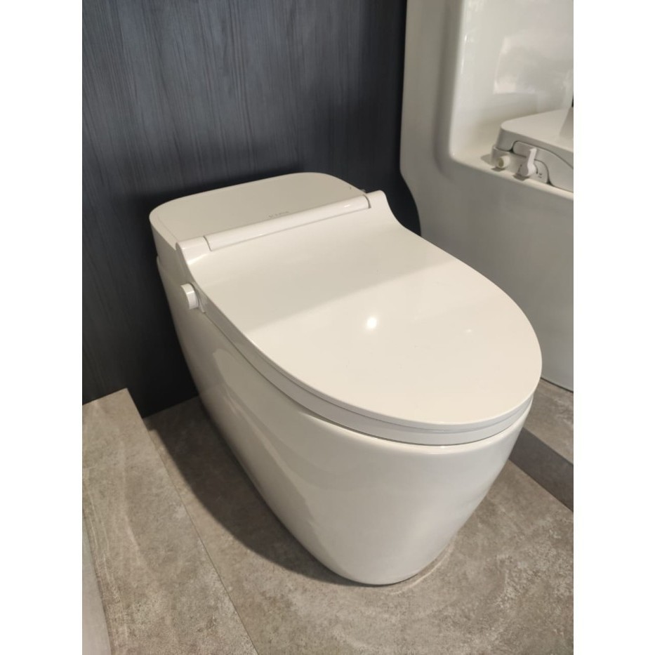 Jual Icepol Closet Duduk Kloset Duduk Toilet Duduk Ecowasher Smart Bidet IC E 8989 | Shopee ...