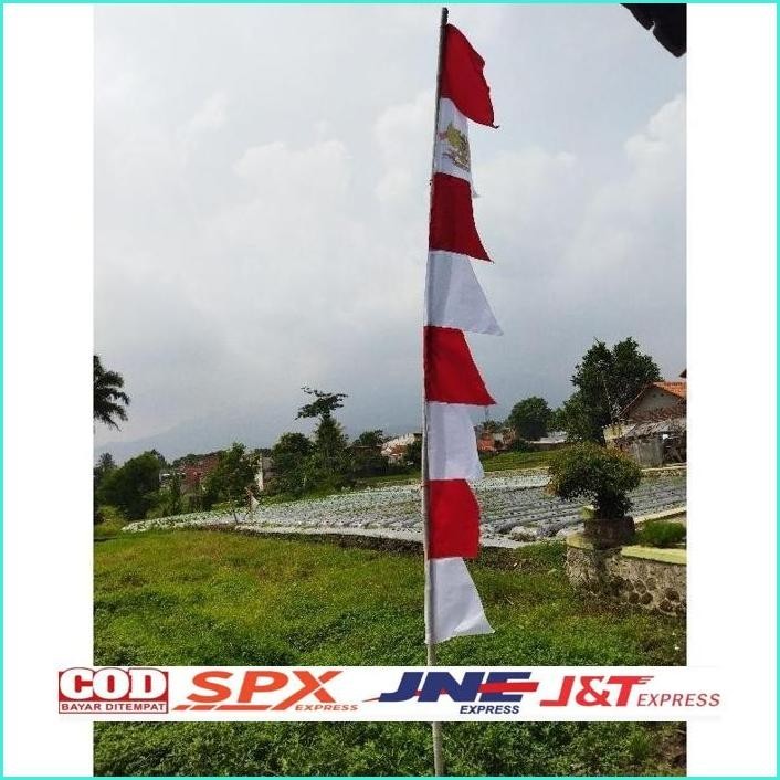 Jual Best Seller Bendera Umbul-Umbul Gergaji Bendera Indonesia Bendera Merah Putih Bendera Warna ...