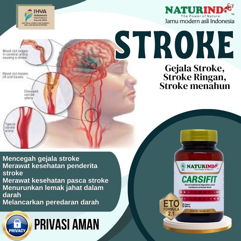 Jual Obat Stroke Struk Strok Ringan Berat Lumpuh Menahun Ampuh herbal ...