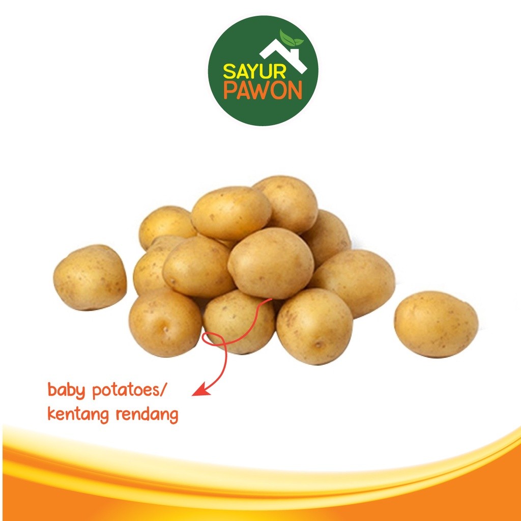 Jual KENTANG BABY / Kentang Rendang [per 500 gr] | Shopee Indonesia