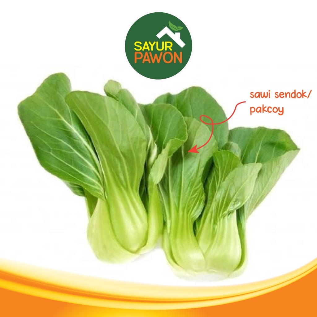 Jual SAWI SENDOK / SAWI DAGING / PAKCOY per 250 gram | Shopee Indonesia