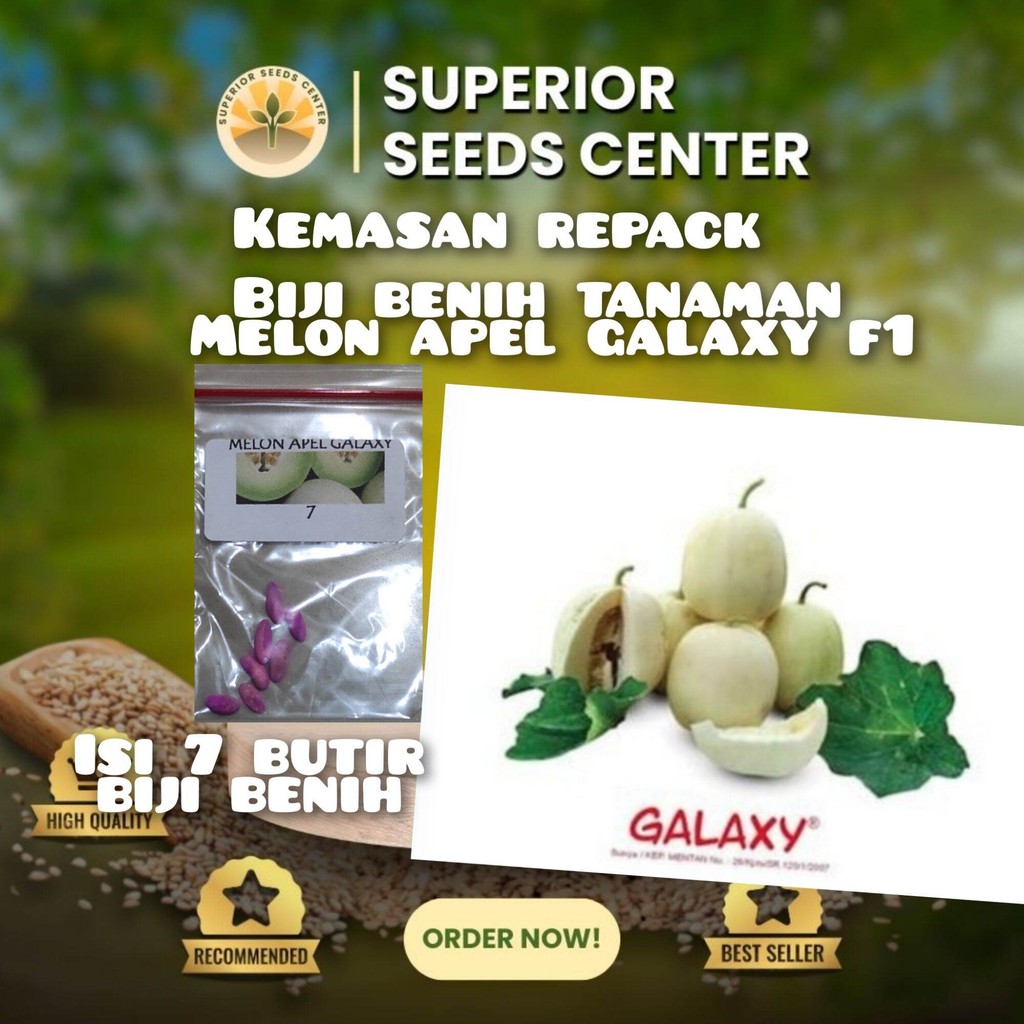Jual 7 butir biji benih tanaman melon apel galaxy f1 (kemasan repack ...