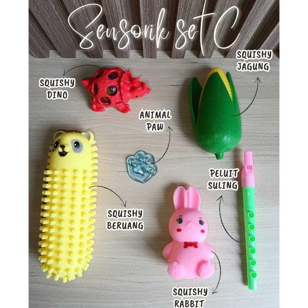 Jual Berkualitas Mainan Sensorik Taktil Set C Mainan Edukasi ...