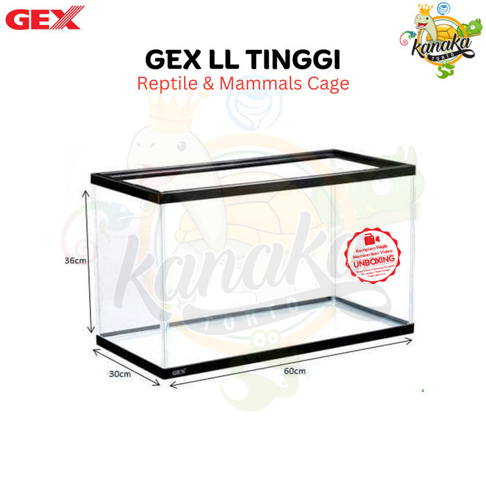 Jual Gex Reptil Aquarium Akuarium Kandang Kadal Gecko Kura Air Res Torto | Shopee Indonesia