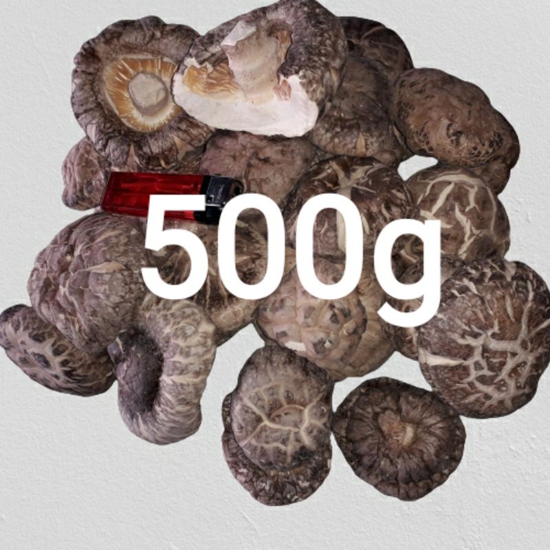 Jual Jamur Shitake / Jamur Hioko Kering 1/2KG (PREMIUM GRADE) | Shopee ...