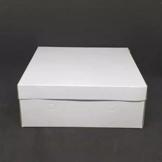 Jual DUS POLOS PUTIH UKURAN 20x20 CM - KARDUS KUE / NASI - ISI 50SET ...