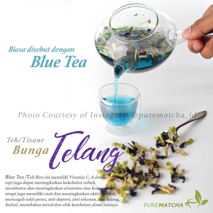 Jual Bunga Telang Teh Clitoria Ternatea Butterfly Pea Blue Tea Teh Biru ...
