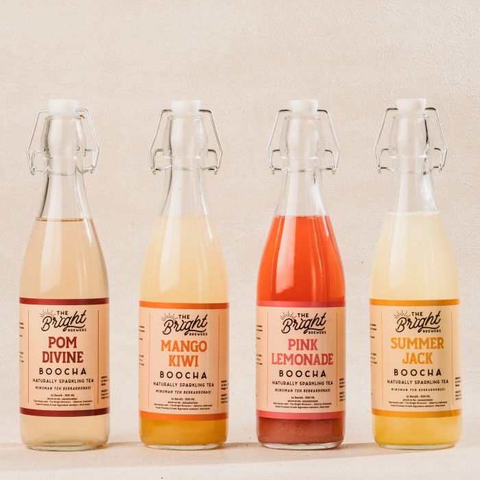 Jual Paket Kombucha Mix Bundle 4 Botol - Sparkling Tea - Teh Fermentasi ...