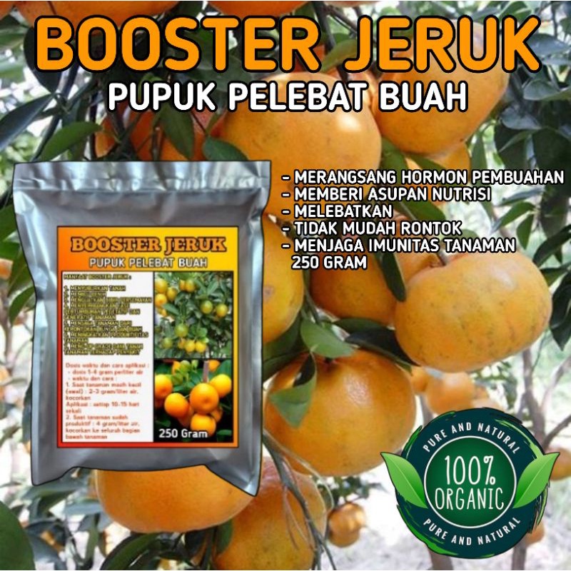 Jual SUPER PROMO pupuk booster jeruk pelebat buah nutrisi untuk buah anti rontok bisa cod ...
