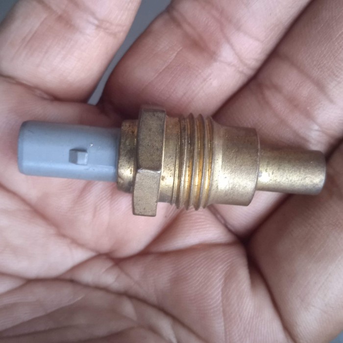 Jual Sensor Switch Water Temperature Panas Suhu Air Kijang Kapsul ...