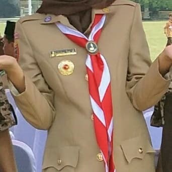 Jual New Baju Pramuka Wanita/Baju Pdu Pramuka Wanita Limited | Shopee ...