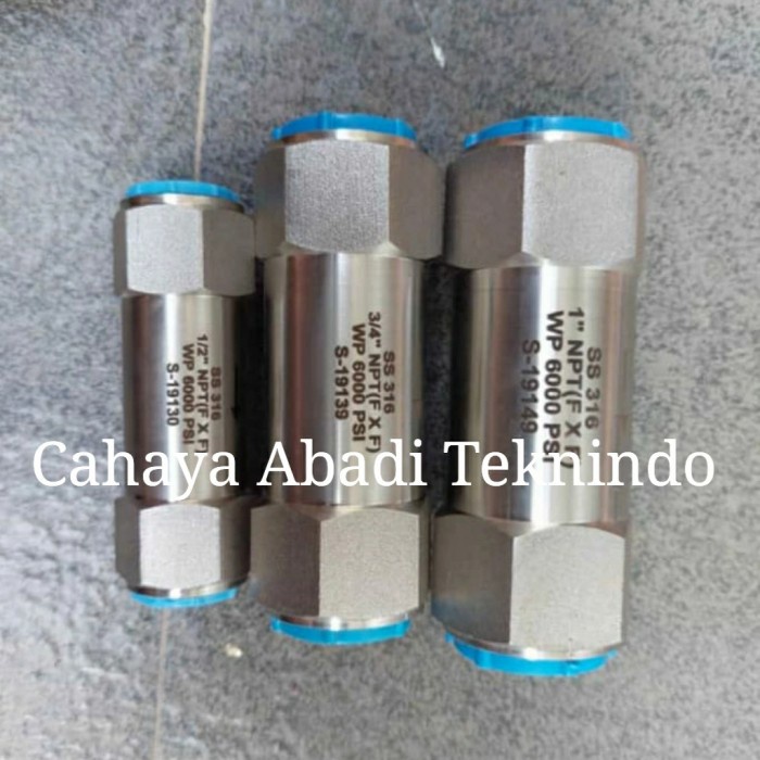 Jual Promo Check Valve 6000Psi Ss316 Npt 1/2"Inch / Check Class 6000 ...