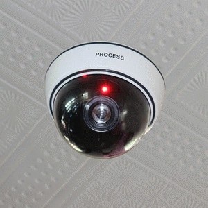 Jual FAKE / DUMMY SURVEILANCE CAMERA | Shopee Indonesia