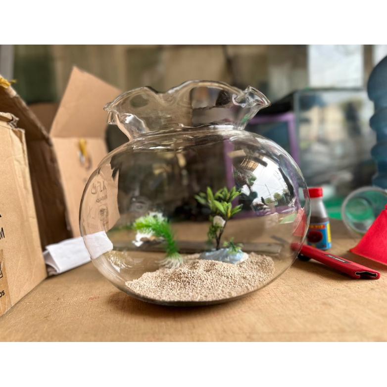 Jual Terbaru! Aquarium Kaca Bulat les 1,5lt 3,7l 4L 7L 12L Fish Bowl ...