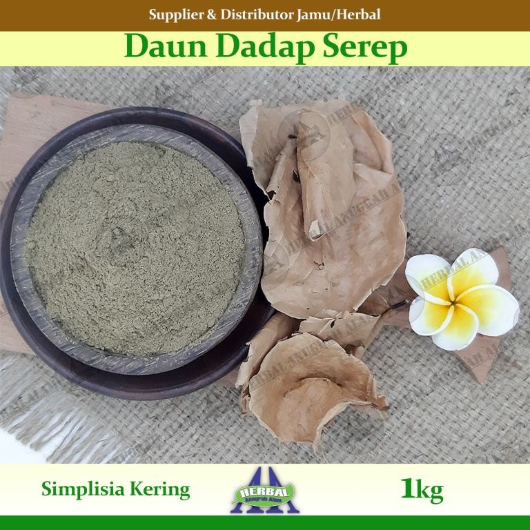 Jual Daun Dadap Serep (Kering) 1Kg | Erythrina Subumbrans - 100% Murni ...