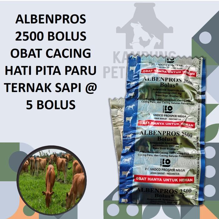 Jual Albenpros 2500 Bolus Obat Cacing Hati Pita Paru Ternak Sapi @ 5 ...