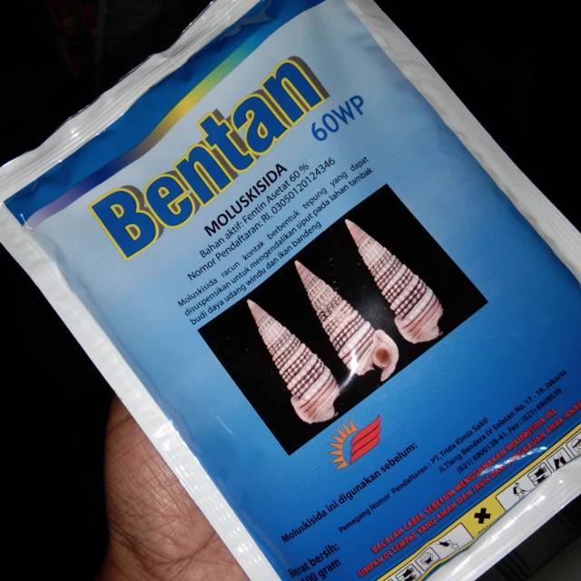 Jual Moluskisida Pembasmi Siput Keong BENTAN 60 WP - 100 gr | Shopee ...