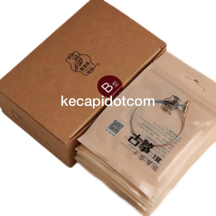 Jual Senar Guzheng Kecapi Dunhuang 1 Set / Senar Guzheng Set | Shopee ...