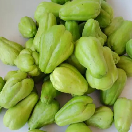 Jual Labu Siam Acar / Baby Manisa 250 gr - Sayur Segar Instan Malang ...