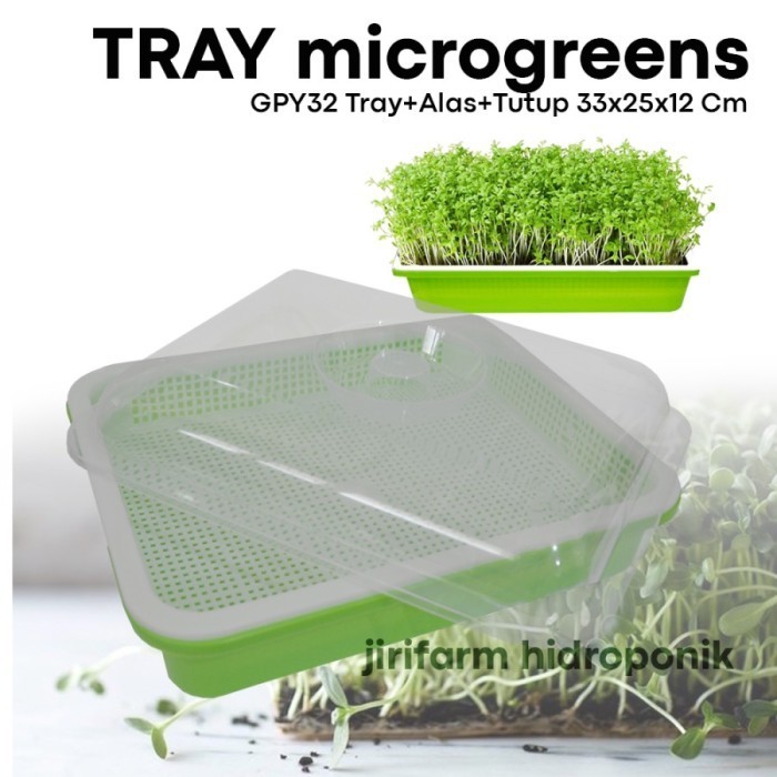 Jual Jirifarm Hidroponik Tray Microgreens GPY32 Tray+Alas+Tutup ...