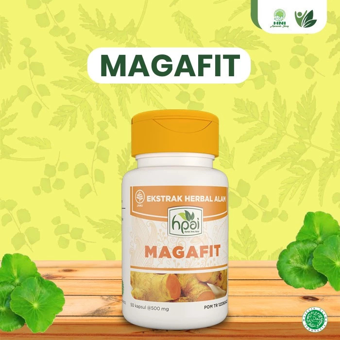 Jual MAGAFIT HNI ORIGINAL 100%, OBAT SAKIT MAGH, OBAT HERBAL MAAG ...