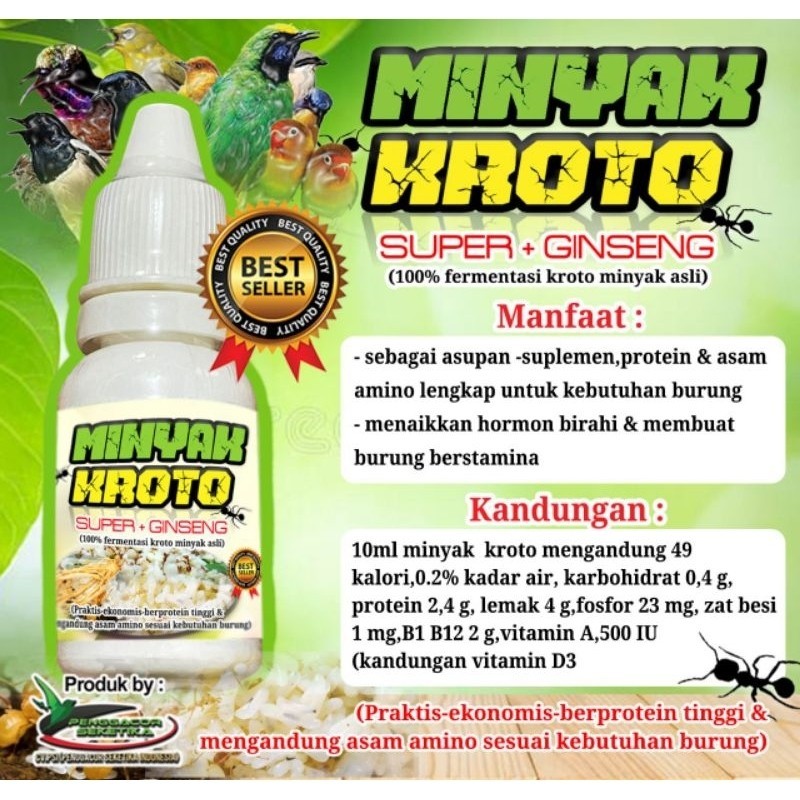 Jual vitamin Minyak kroto super burung murai plus ginseng kroto segar ...