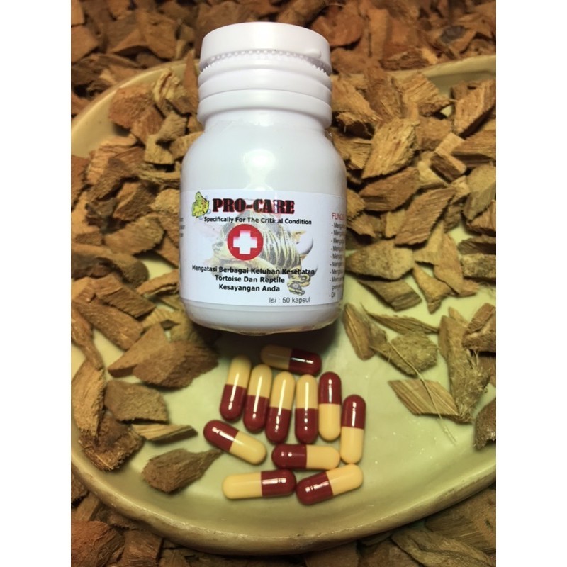 Jual JKK PRO CARE Obat Reptile Kura / Obat Flu Pneumonia / Obat Kura ...
