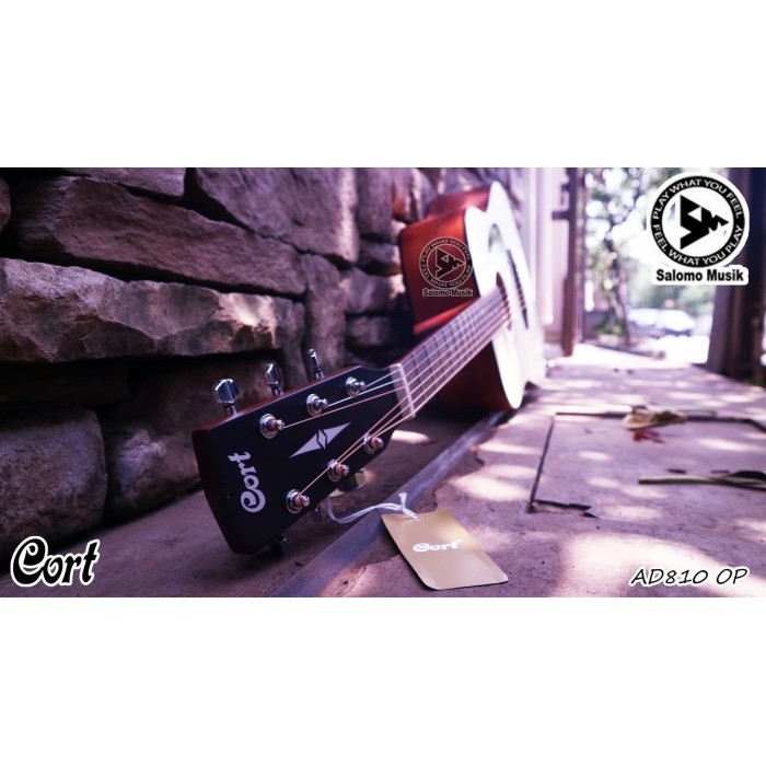 Jual Gitar Akustik Original Cort Ad810 Op Original | Shopee Indonesia
