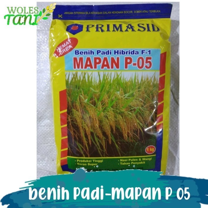 Jual Mapan P05 1 Kg Mapan 05 1 Kg Benih Padi Hibrida Super | Shopee ...