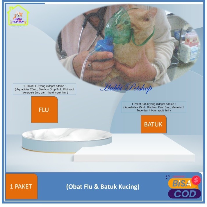 Jual PAKET NEBU BATUK DAN FLU KUCING | Shopee Indonesia