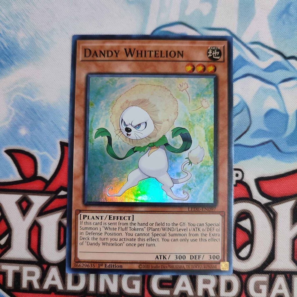 Jual yugioh dandy whitelion LEDE super rare original | Shopee Indonesia