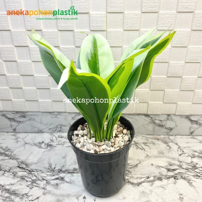 Jual Pohon Daun Pandan Bali X12 Plastik Artificial Pot Effiel Hitam ...