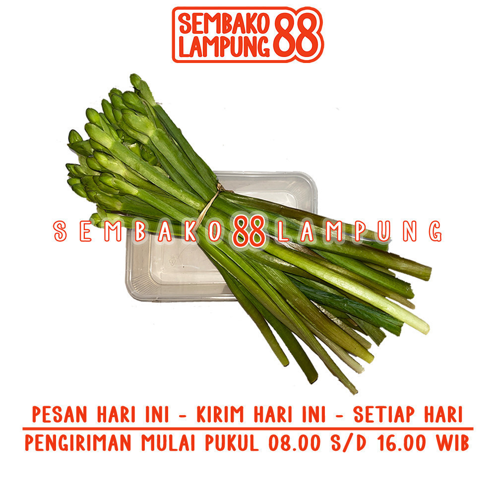 Jual Bunga Genjer 1 Ikat | Sembako Lampung 88 | Shopee Indonesia