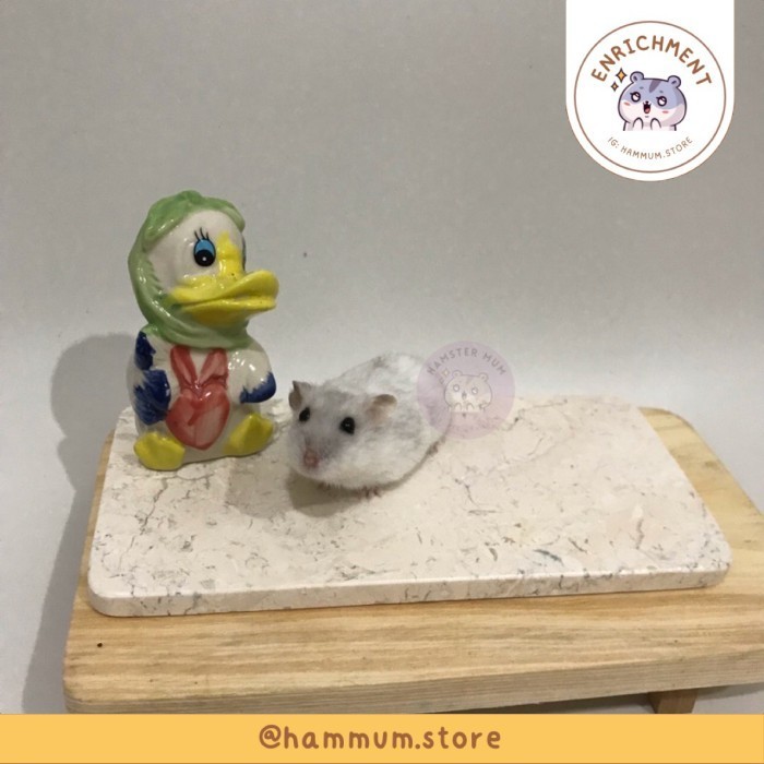 Jual HAMSTER COOLING PAD MARBLE TEMPAT TIDUR DINGIN SYRIAN LANDAK ...
