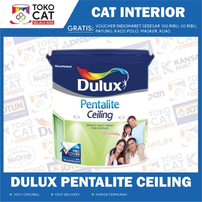 Jual Cat Plafon dan Gypsum | Dulux Pentalite Ceiling White Supermatt ...