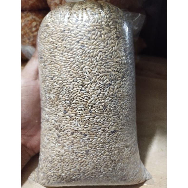 Jual CANARY SEED MAKANAN BURUNG PARKIT / LOVEBIRD / KANARY/ PERKUTUT ...