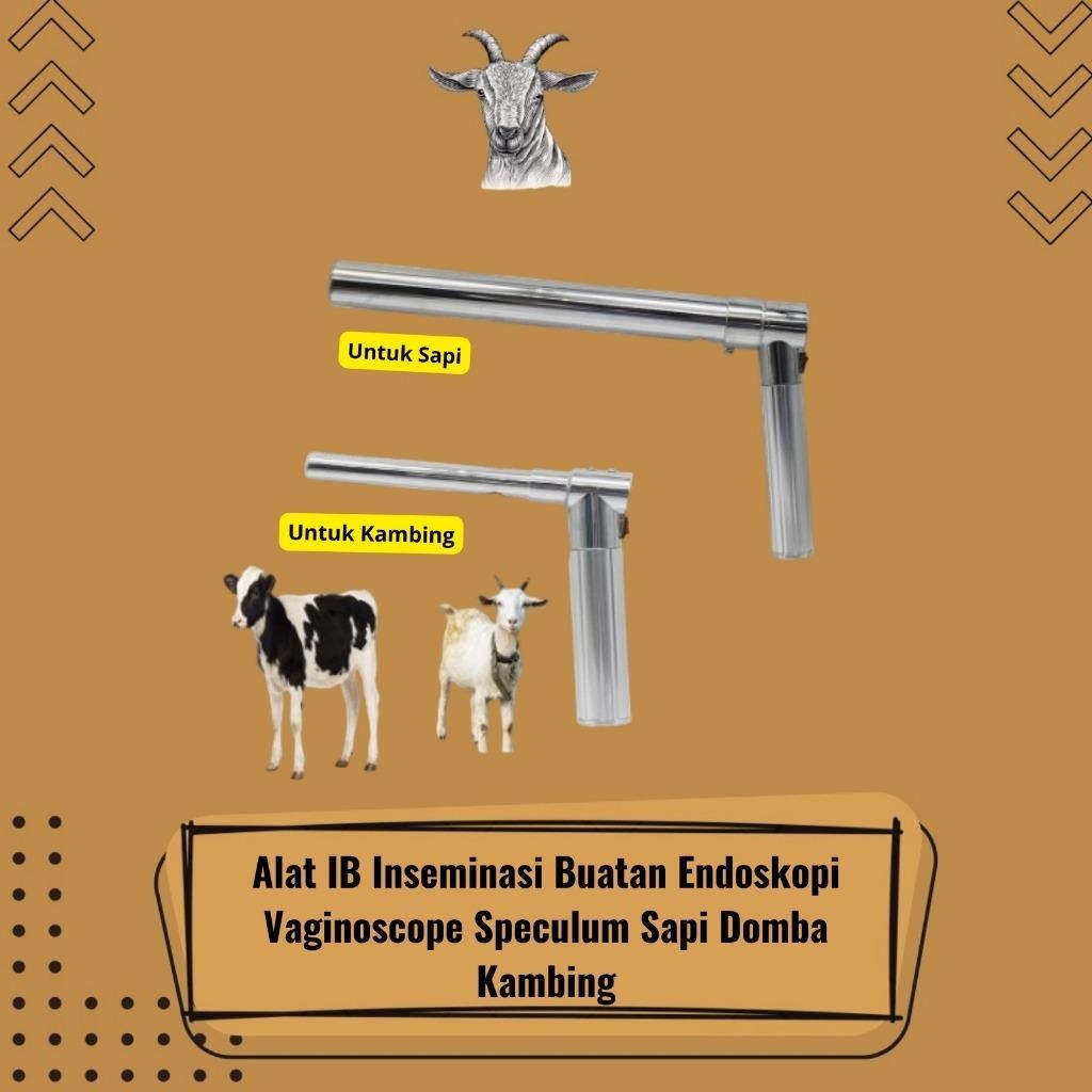 Jual Endoskopi Vaginal Spekulum Sapi Domba Kambing Alat Inseminasi Buatan Farm | Shopee Indonesia