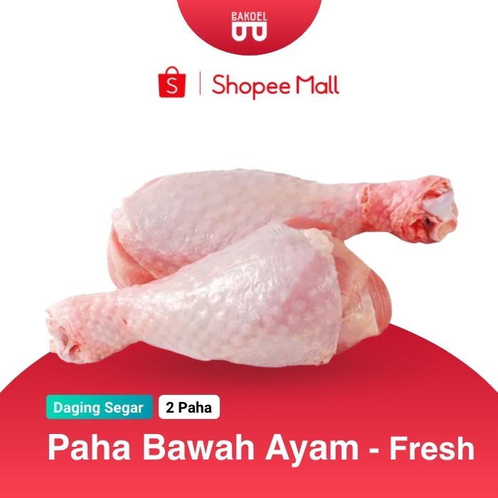 Jual Paha Bawah Ayam / Chicken Drum Stick - ASLI FRESH (bukan frozen ...