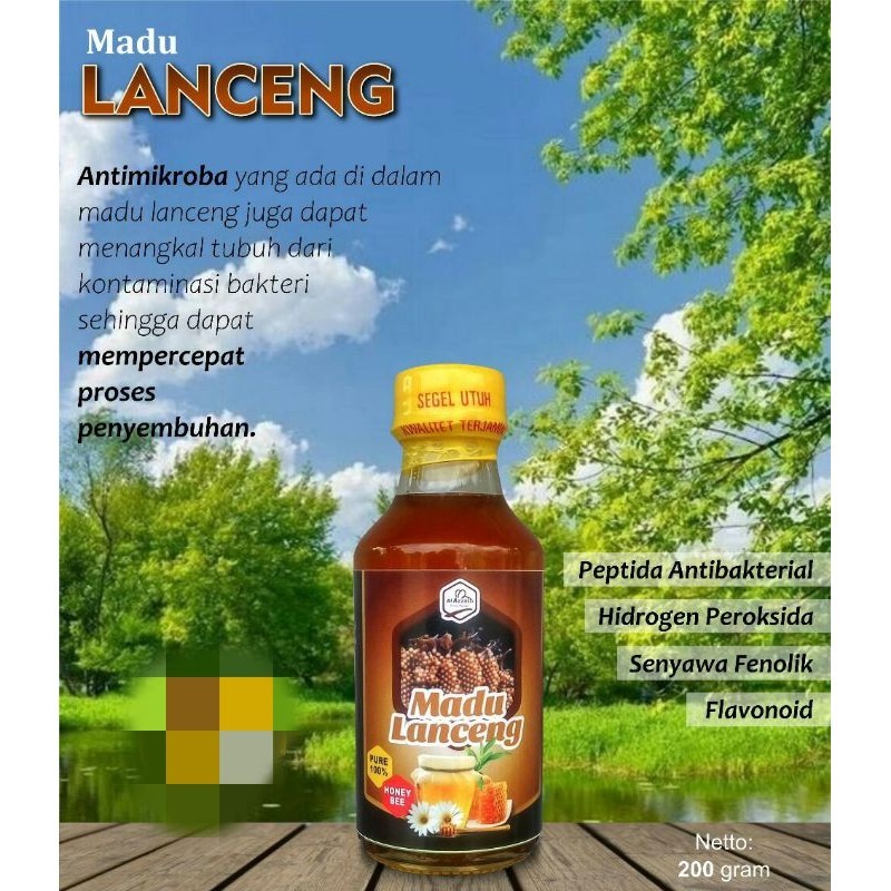 Jual madu lanceng madu lanceng bambu lanceng liar asli murni tidak ...