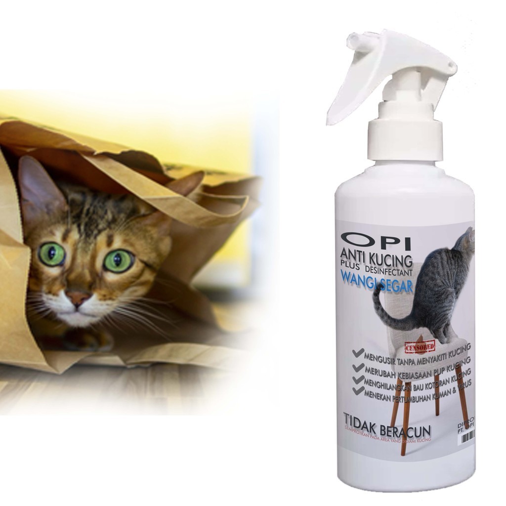 Jual Pengusir kucing, anti kucing kencing dan pup sembarangan 60 sampai ...