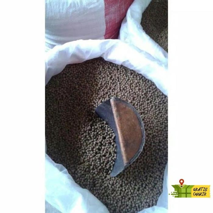 Jual Extra Terbaik Pelet Lele - Pelet Ikan Air Tawar 1 Kg - Pakan Ikan ...