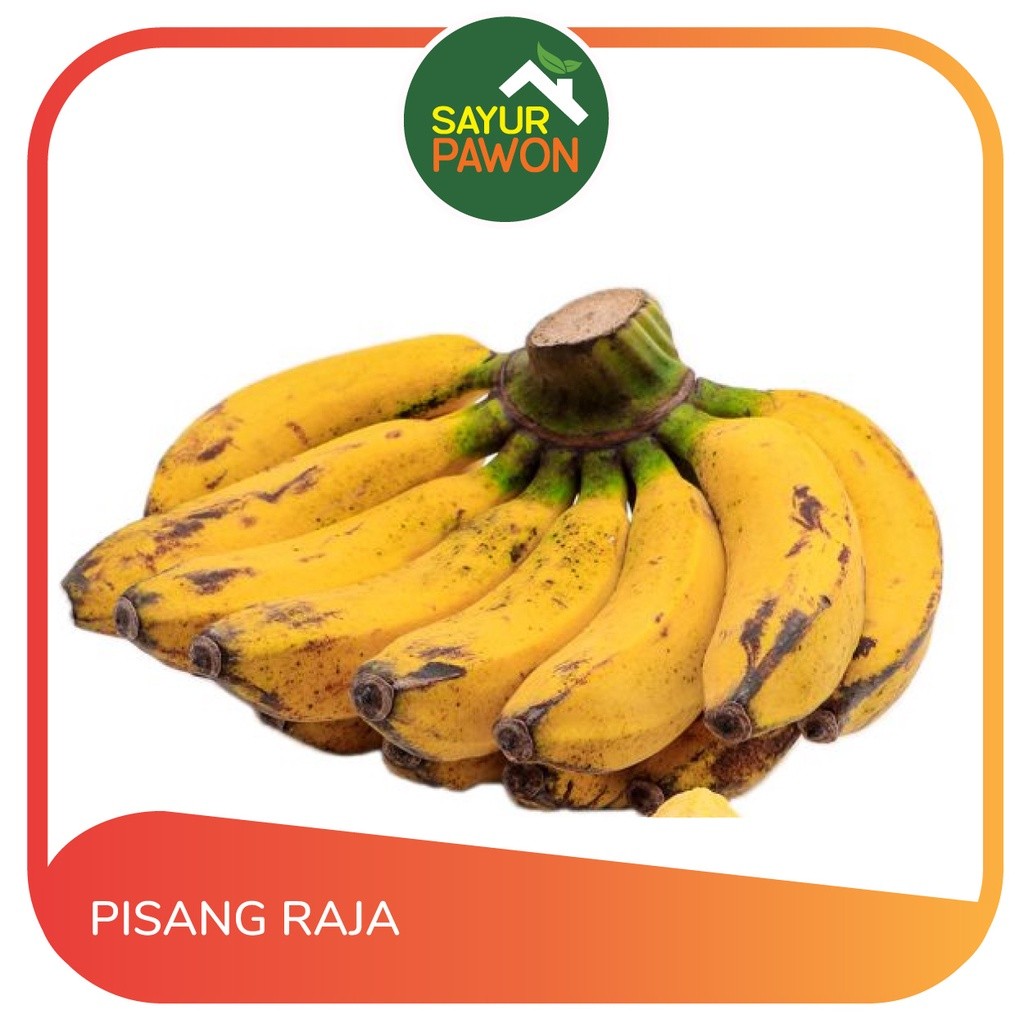 Jual PISANG RAJA | Shopee Indonesia